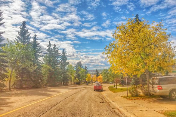 Fun Things to do in Calgary in April 2023 – Calgary Local and Fun ...