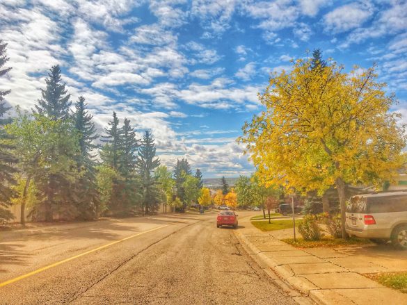 Fun Things to do in Calgary in October 2020 – Calgary Local and Fun ...