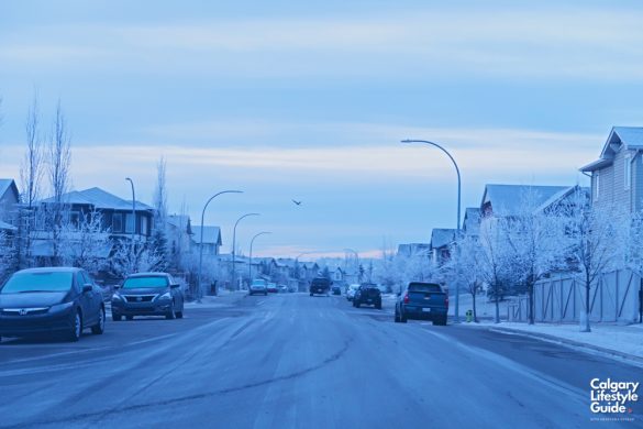 Fun Things to do in Calgary in November 2019 – Calgary Local and Fun ...