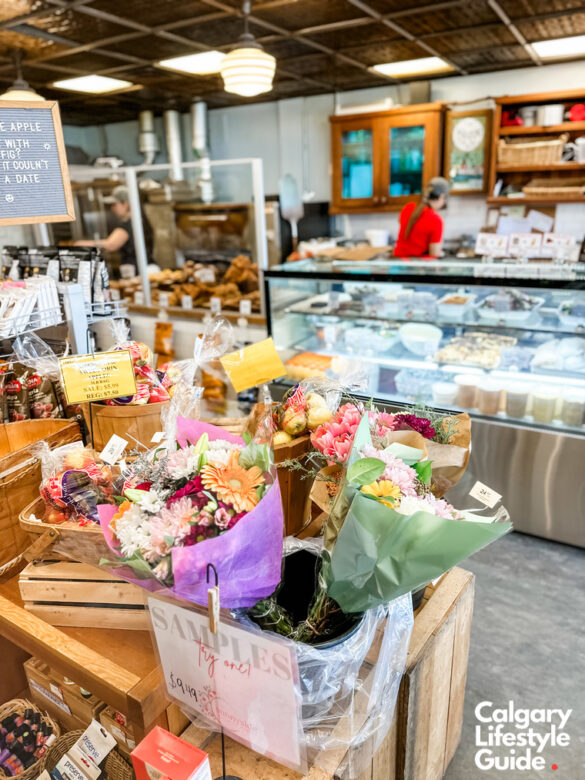Top 5 Best Calgary Organic Food Stores/Organic Grocery Stores You Need ...