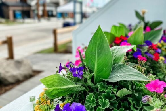 Fun Things to do in Calgary in April 2023 – Calgary Local and Fun ...