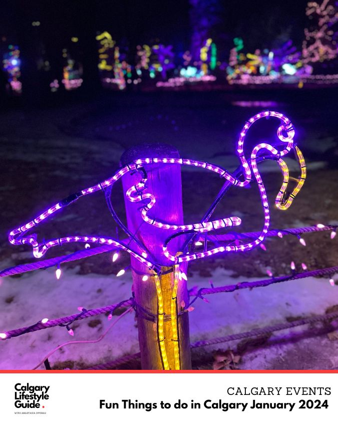Fun Things To Do In Calgary In January 2024 Calgary Local And Fun Fun Things To Do In Calgary In January 2024 Calgary Local And Fun