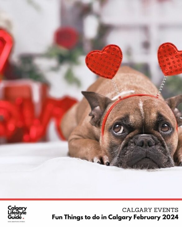 Fun Things to do in Calgary in February 2024 – Calgary Local and Fun Events including Family ...