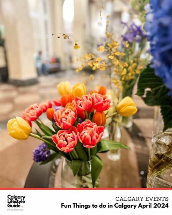 Fun Things to do in Calgary in April 2024 – Calgary Local and Fun Events including Family Events ...
