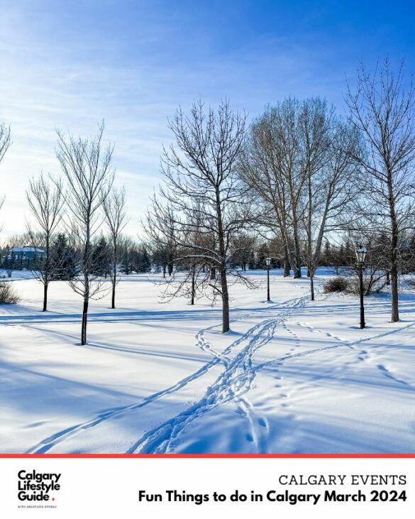 Fun Things to do in Calgary in March 2024 – Calgary Local and Fun ...