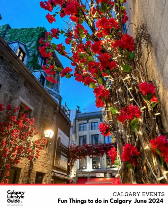 Calgary Lifestyle Guide with Anastasia Dvorak | Calgary Real Estate ...