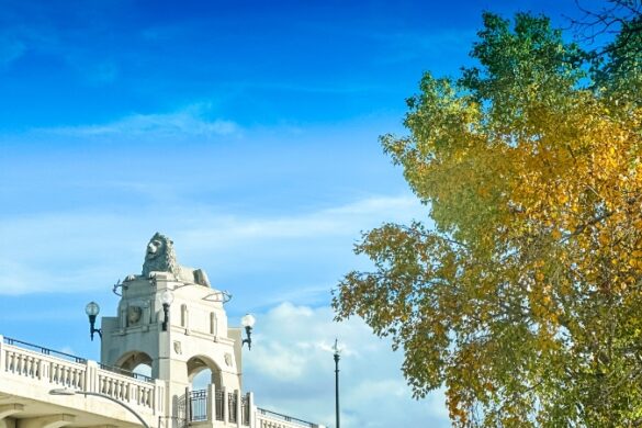 Fun Things to do in Calgary in October 2024 – Calgary Local and Fun ... Fun Things to do in Calgary in October 2024 – Calgary Local and Fun ...