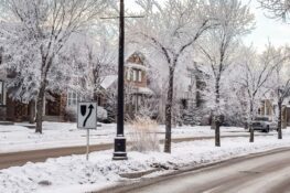 Fun Things to do in Calgary in April 2024 – Calgary Local and Fun ...