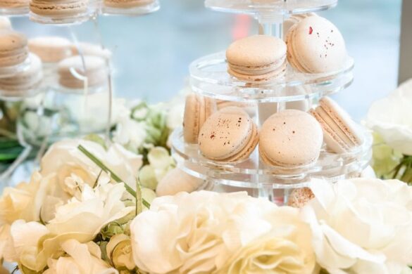 Fun Things to do in Calgary in June 2025 – Calgary Local and Fun Events ... Fun Things to do in Calgary in June 2025 – Calgary Local and Fun Events ...