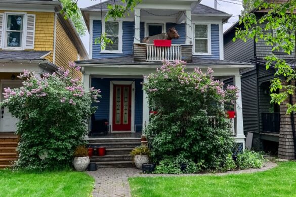 Fun Things to do in Calgary in August 2025 – Calgary Local and Fun ...