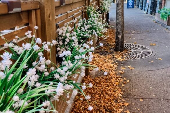 Candlelight Concerts by Fever: Calgary’s Most Memorable Concerts in ...